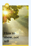 Tip 9: How to “show”, and not “tell” – Sophie Writes